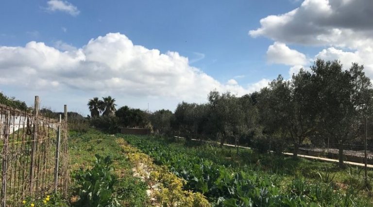 Visiting an Eco-farm in Malta | 4circularity
