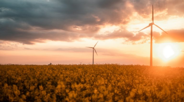 10 actions in my personal sustainability action plan | 4circularity